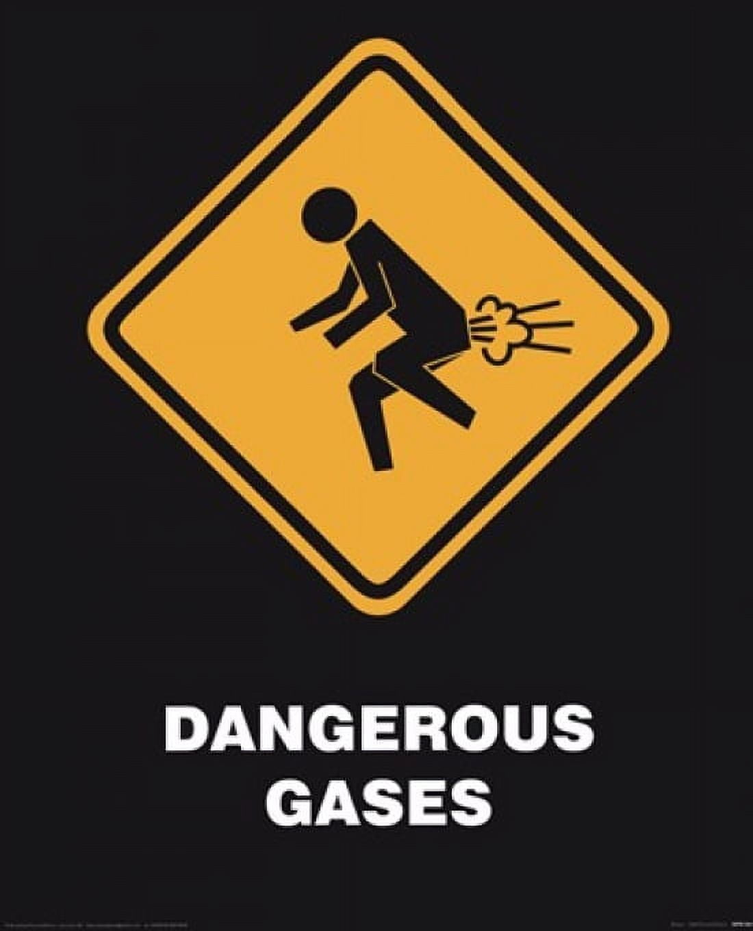 Dangerous Gases Poster (16 x 20) - Walmart.com
