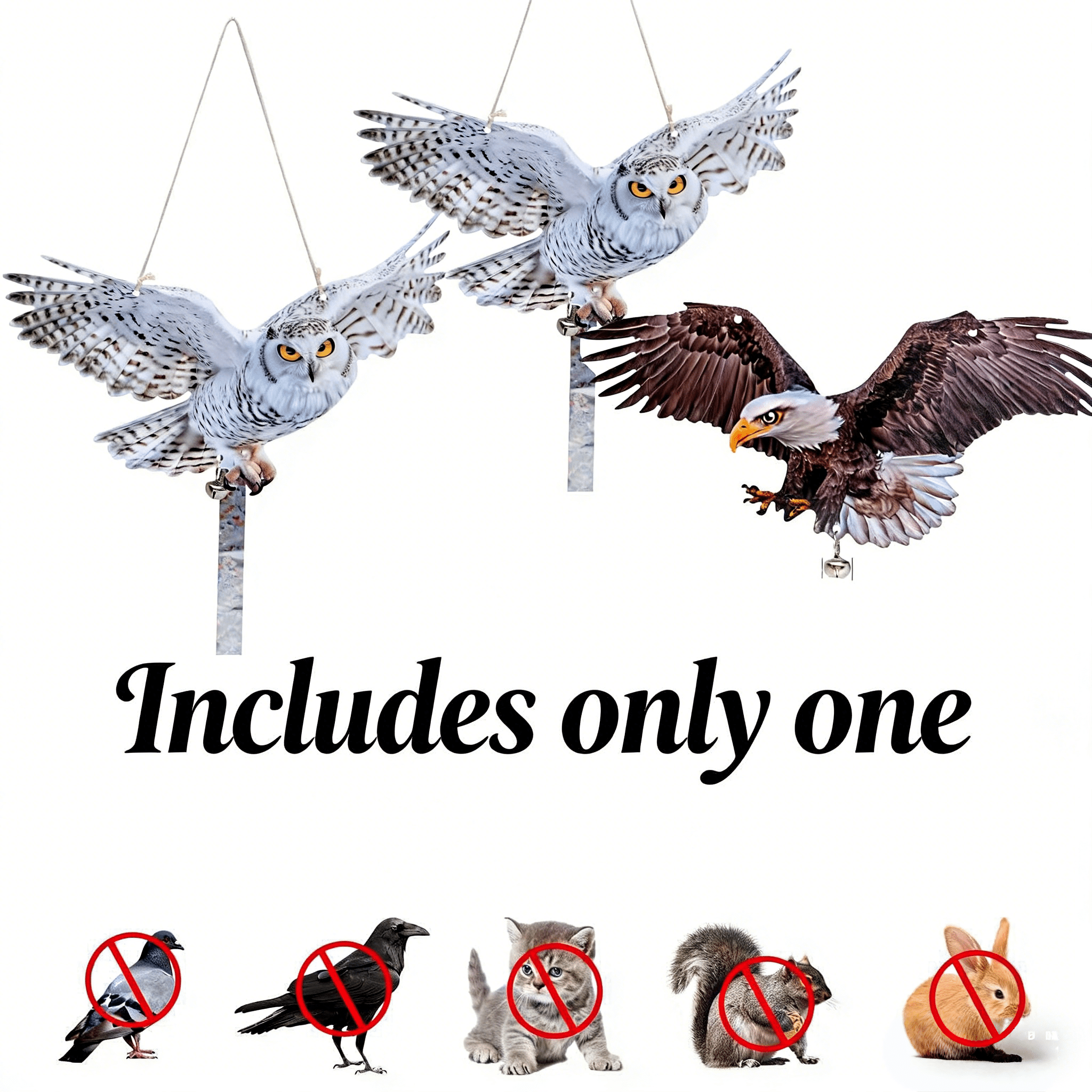 Danhjin Birds Repellent Deterrent for Outside Realistic Animals Scare ...