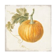 Turpin 'Turpin Tropical Fruit VI' Canvas Art - Walmart.com