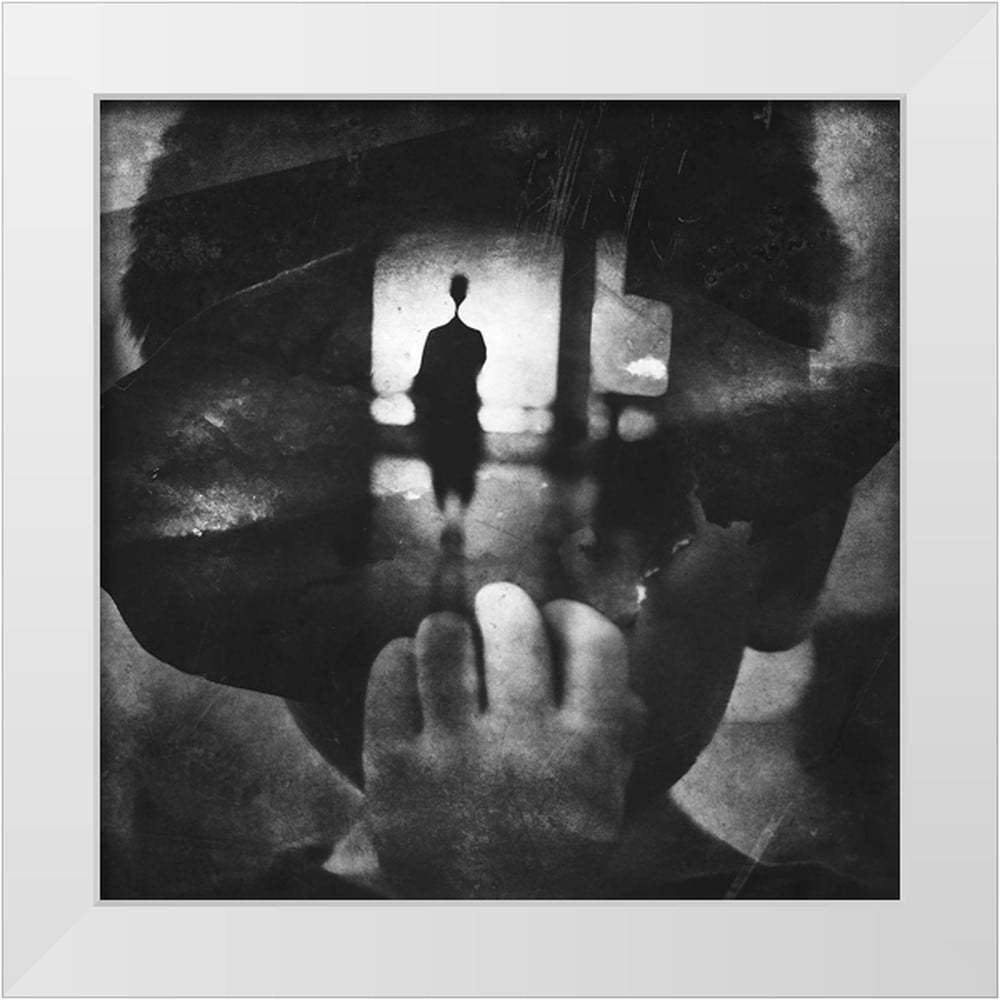 Danial, Abi 26x26 White Modern Wood Framed Museum Art Print Titled ...
