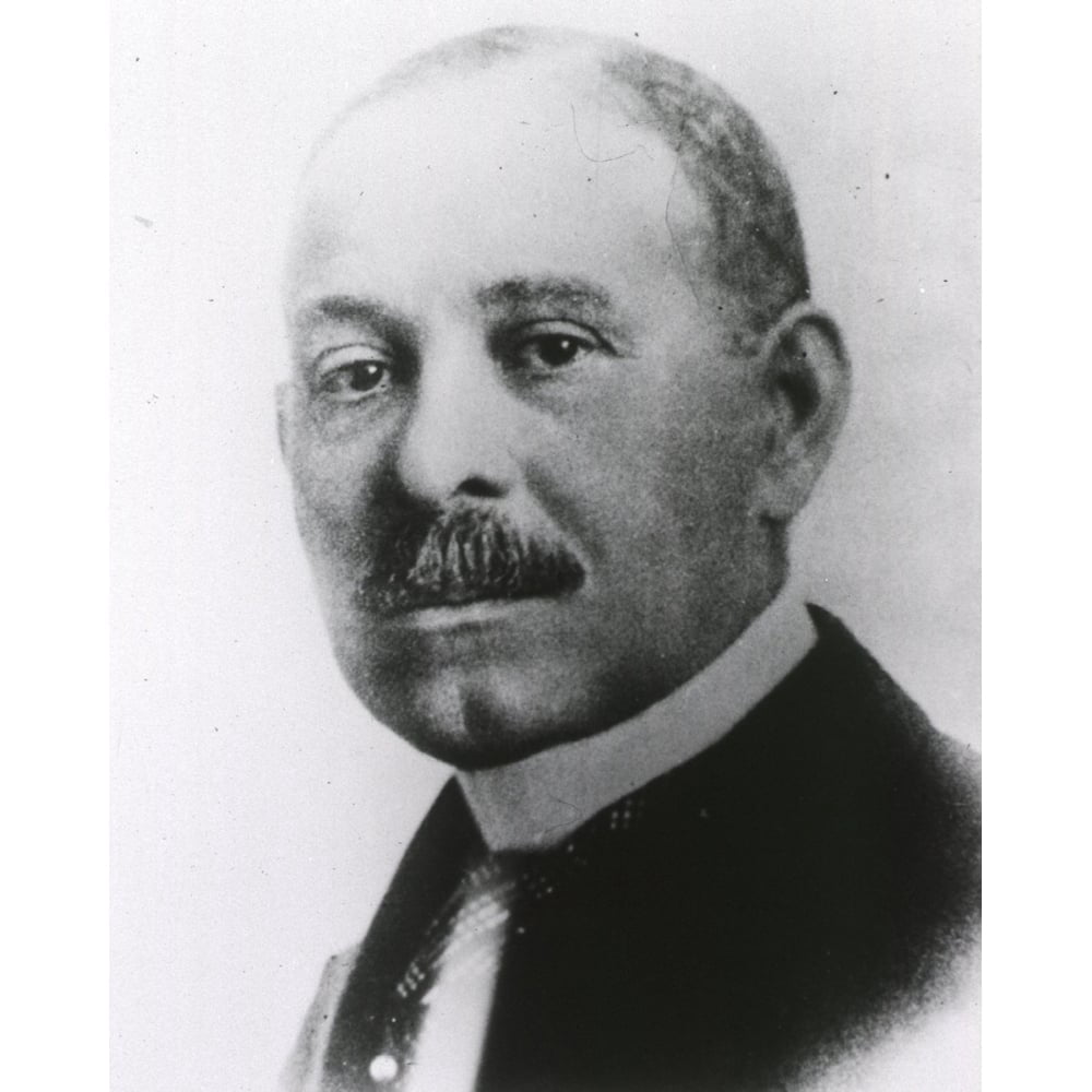 Daniel H. Williams (1856-1931) History (18 x 24) - Walmart.com