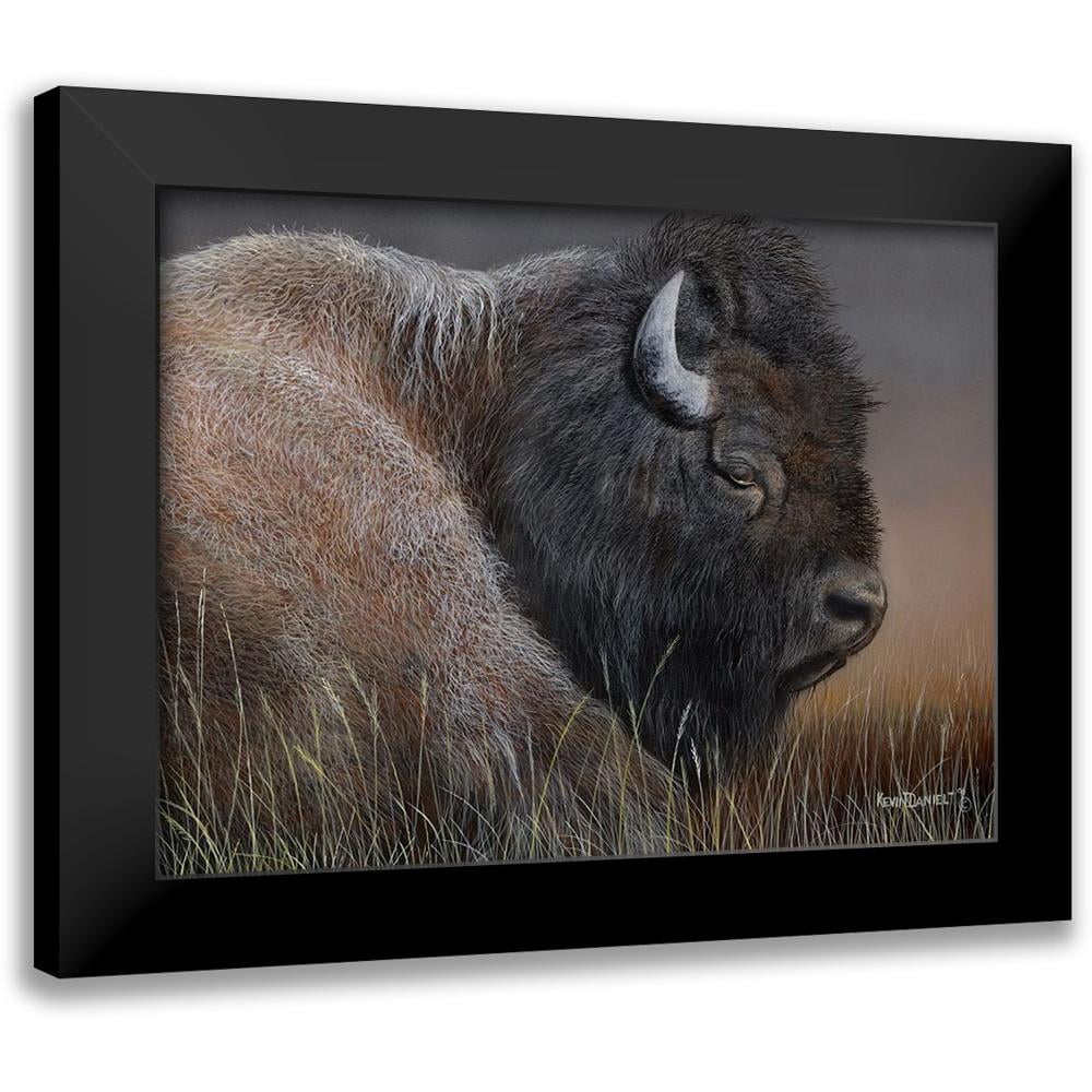 Daniel, Kevin 14x12 Black Modern Framed Museum Art Print Titled ...