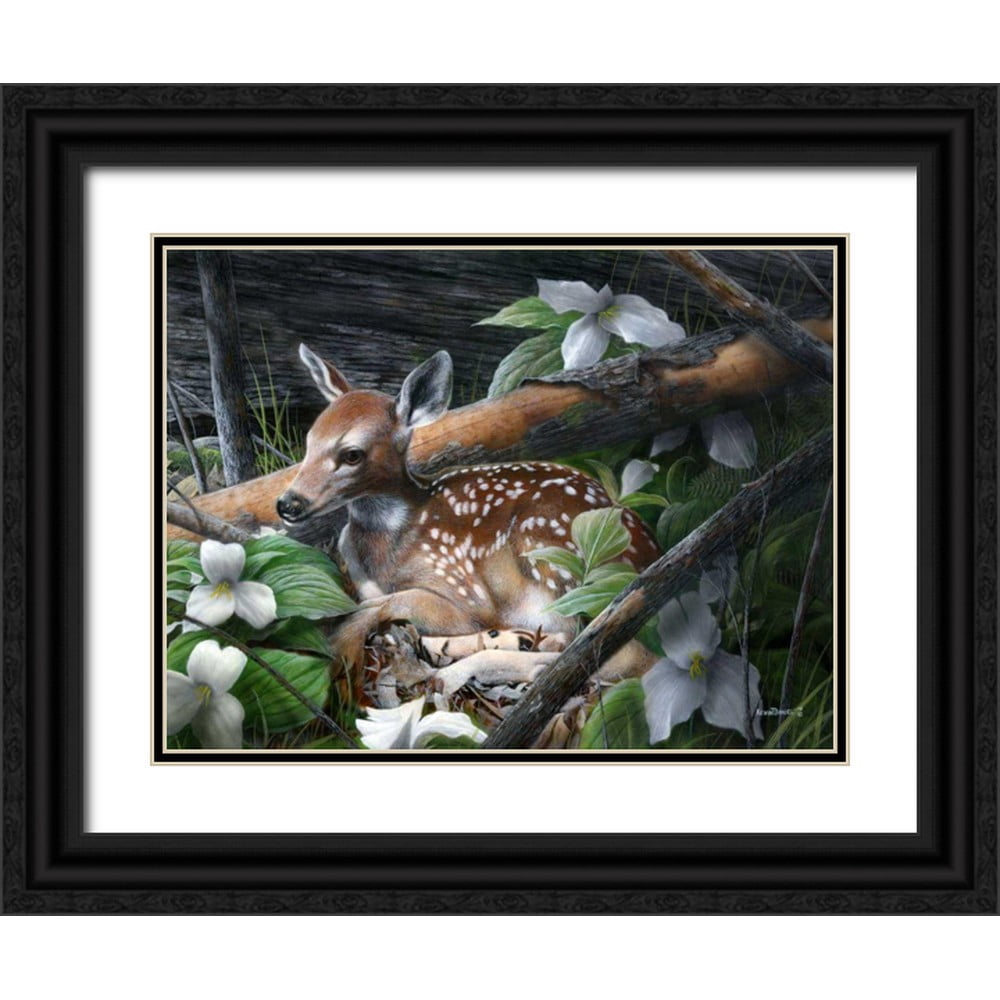 Daniel, Kevin 14x12 Black Ornate Wood Framed with Double Matting Museum ...