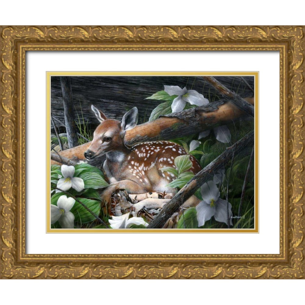 Daniel, Kevin 14x12 Gold Ornate Wood Framed with Double Matting Museum ...