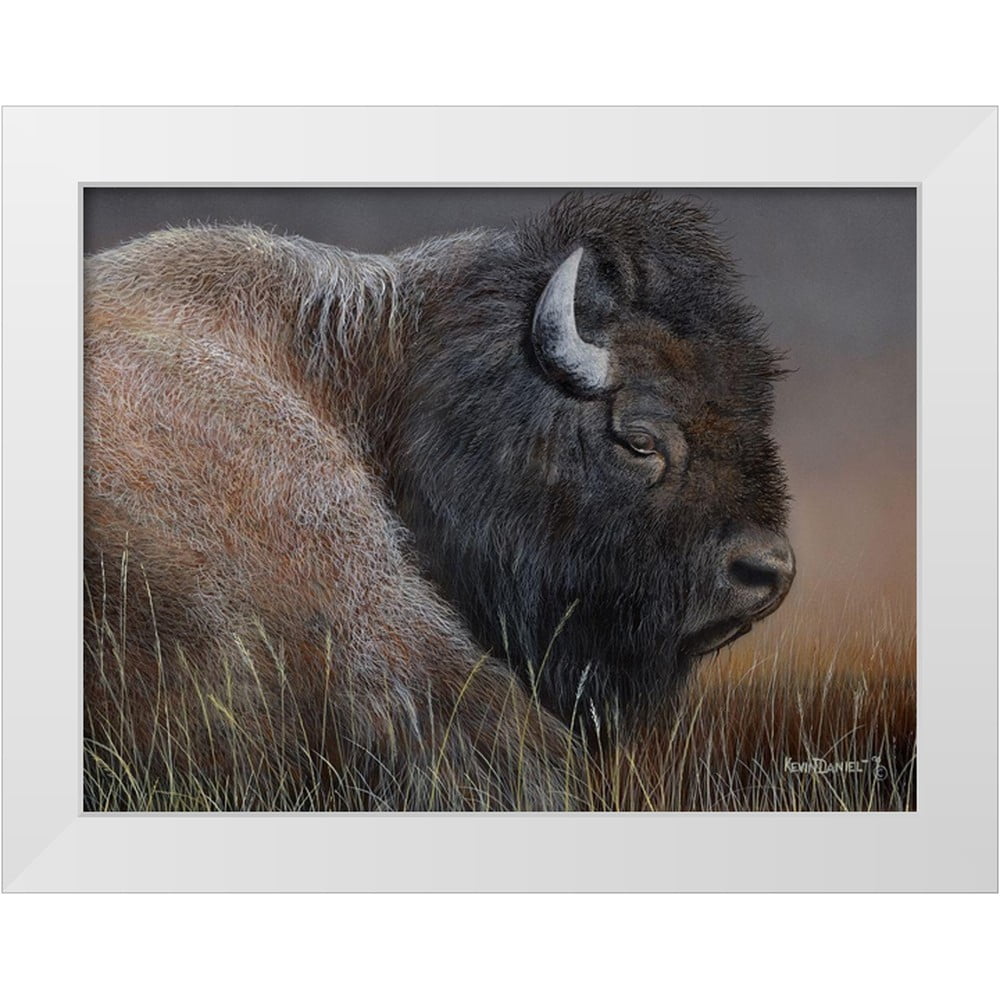 Daniel, Kevin 14x12 White Modern Wood Framed Museum Art Print Titled ...