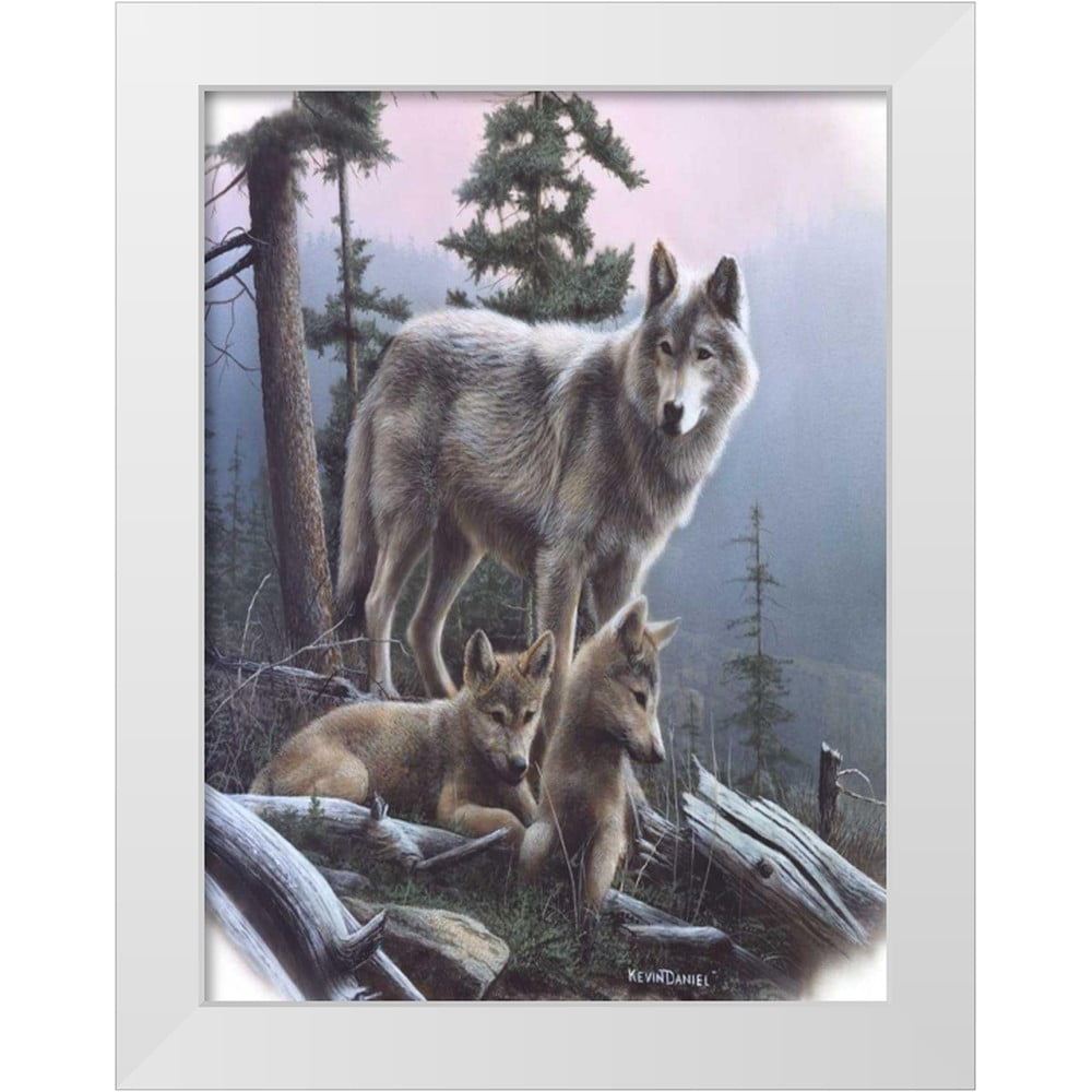Daniel, Kevin 19x24 White Modern Wood Framed Museum Art Print Titled ...