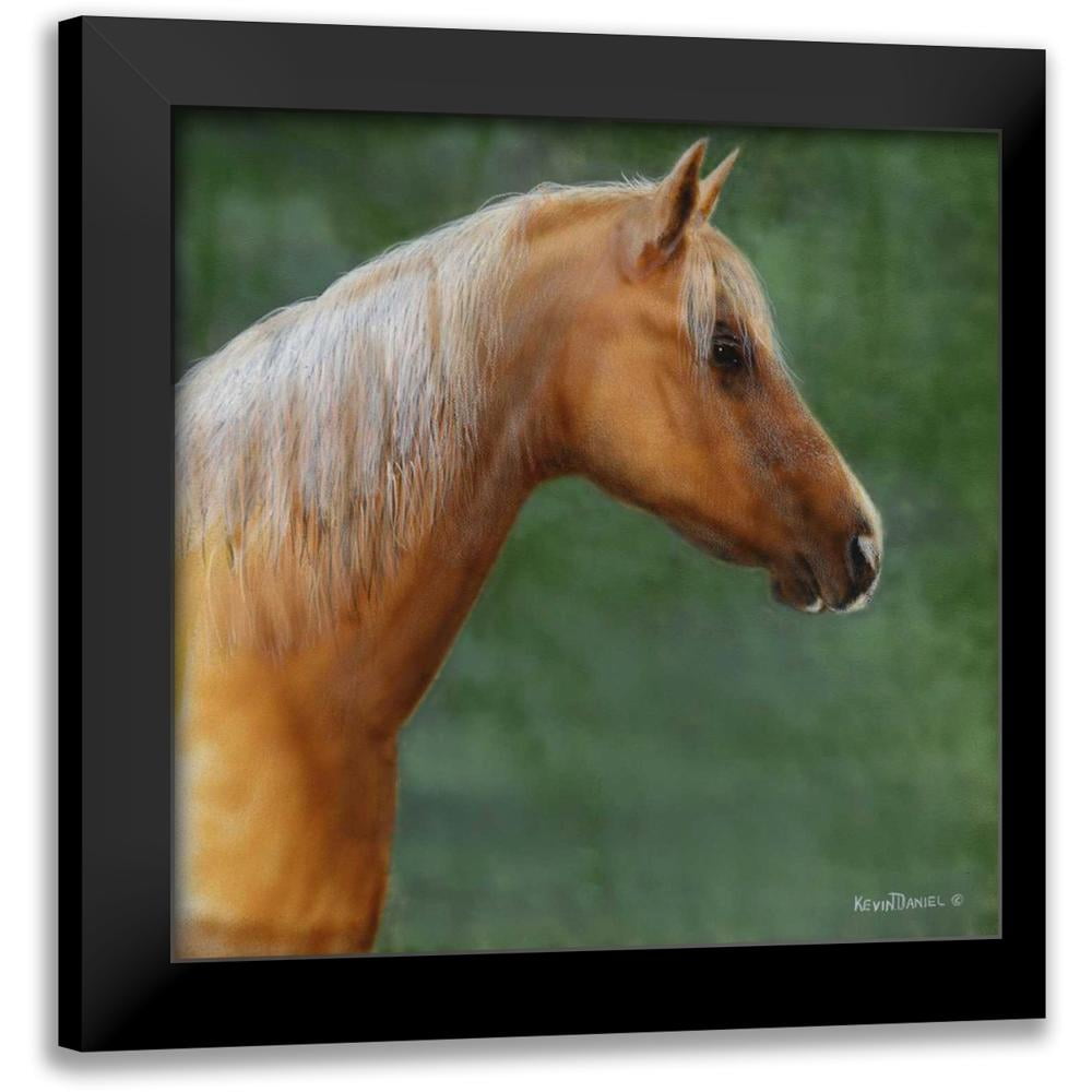 Daniel, Kevin 20x20 Black Modern Framed Museum Art Print Titled ...