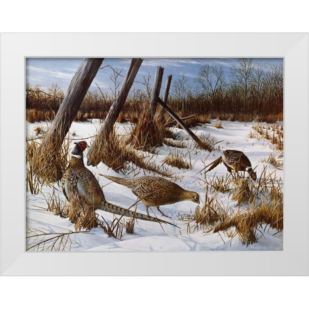 Daniel, Kevin 24x19 White Modern Wood Framed Museum Art Print Titled ...