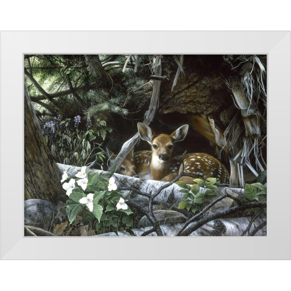 Daniel, Kevin 24x19 White Modern Wood Framed Museum Art Print Titled ...