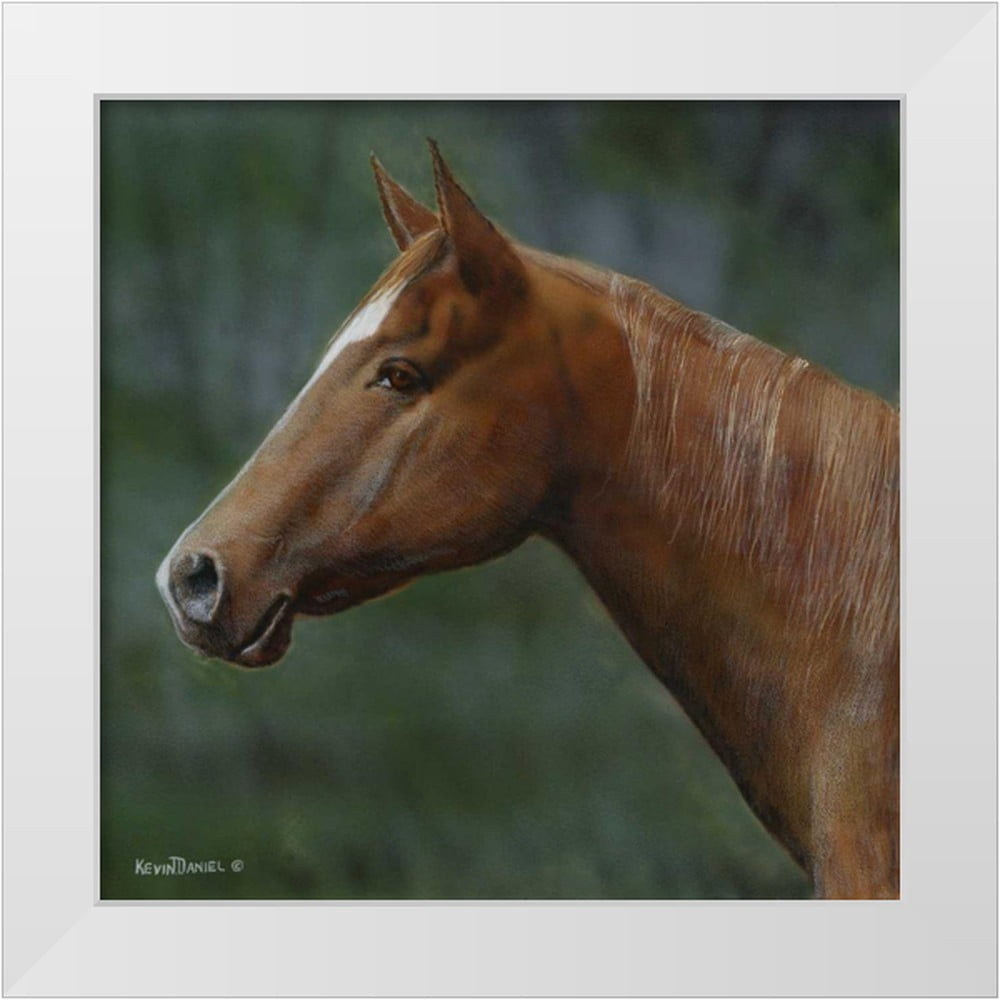Daniel, Kevin 26x26 White Modern Wood Framed Museum Art Print Titled ...