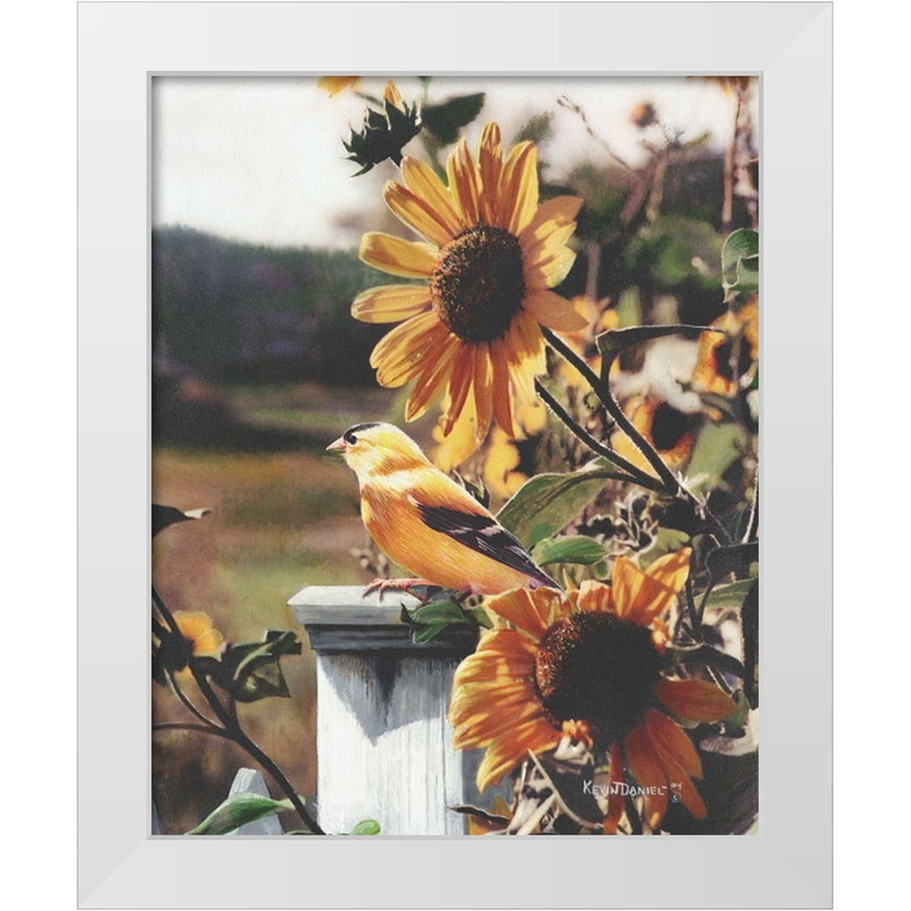 Daniel, Kevin 26x32 White Modern Wood Framed Museum Art Print Titled ...