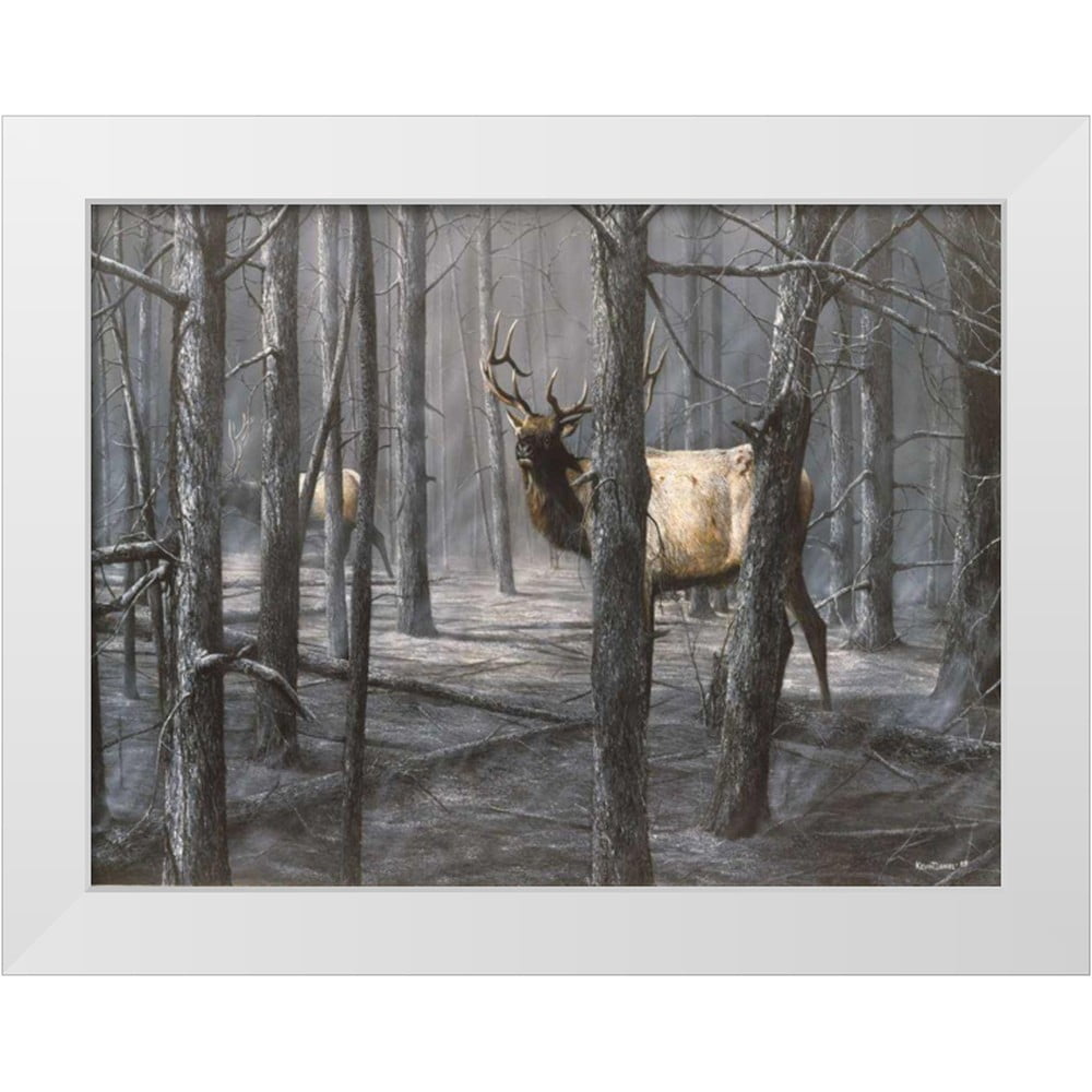 Daniel, Kevin 32x25 White Modern Wood Framed Museum Art Print Titled ...