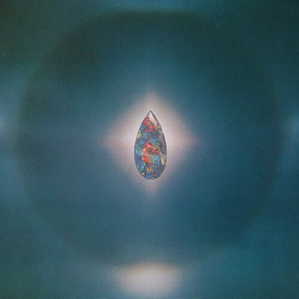 Daniel O'Sullivan - Fourth Density - Rock - Vinyl - Walmart.com