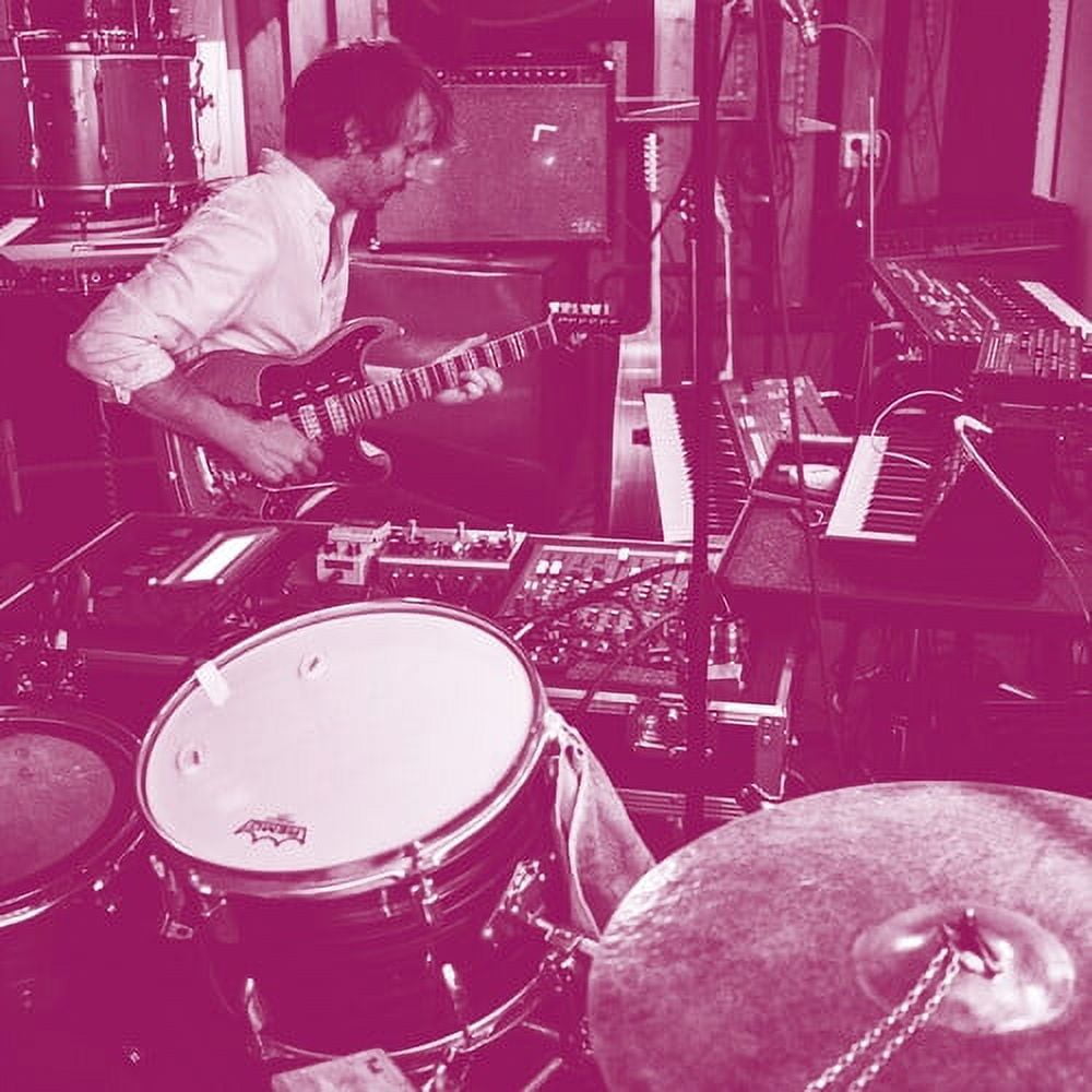 Daniel Ogren - Fastingen - 92 - Music & Performance - Vinyl - Walmart.com