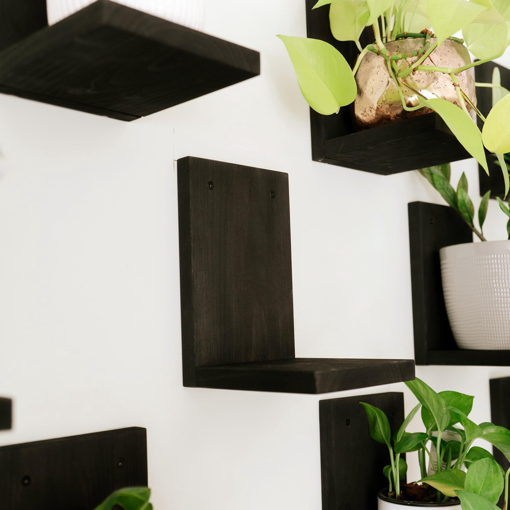 Daniel's Plants Indoor Plant Wall Gallery Shelf Kit | Modern Wooden ...