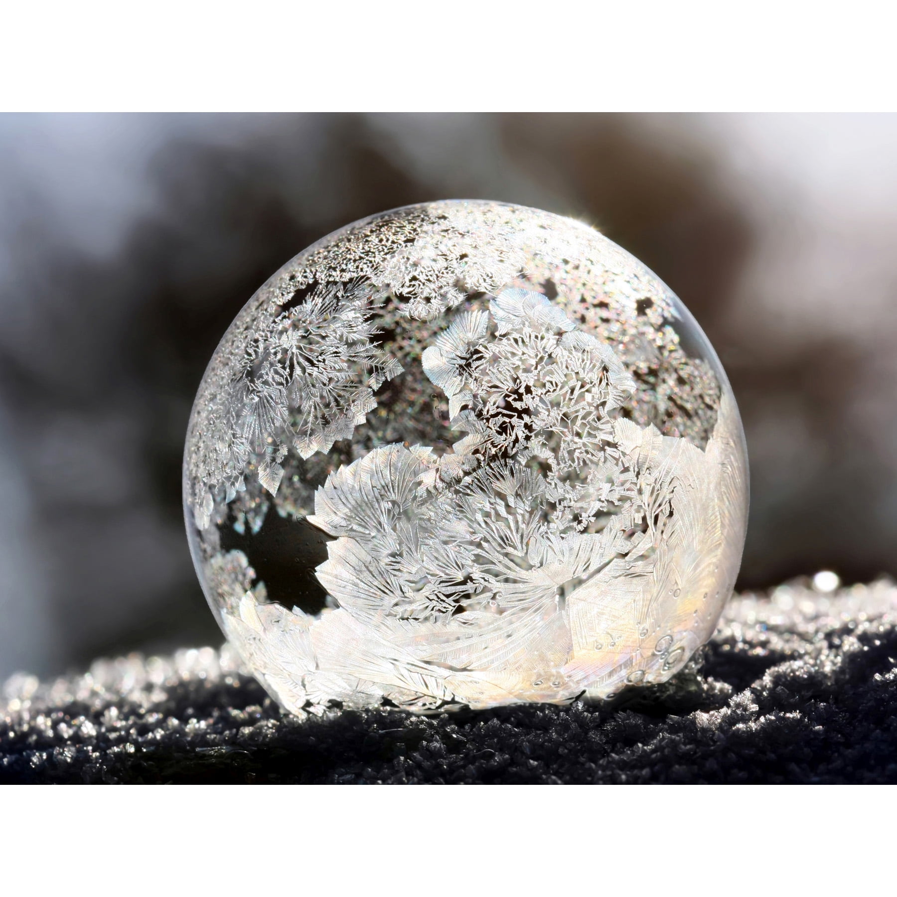 Danielarapava Frosted Bubble Ice Amazing Photo Extra Large XL Wall Art ...