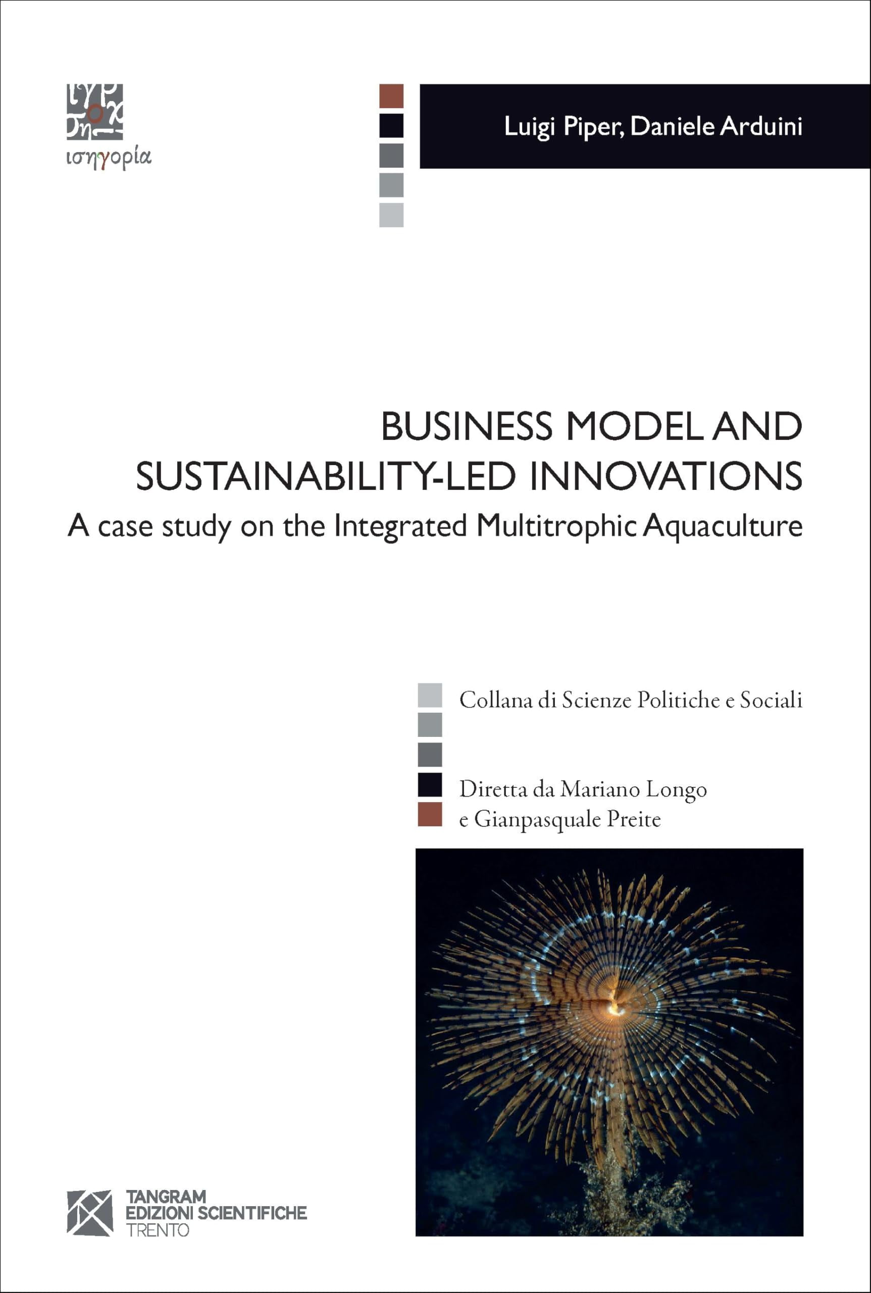 Daniele Arduini Business model and sustainability-led innovations. A ...
