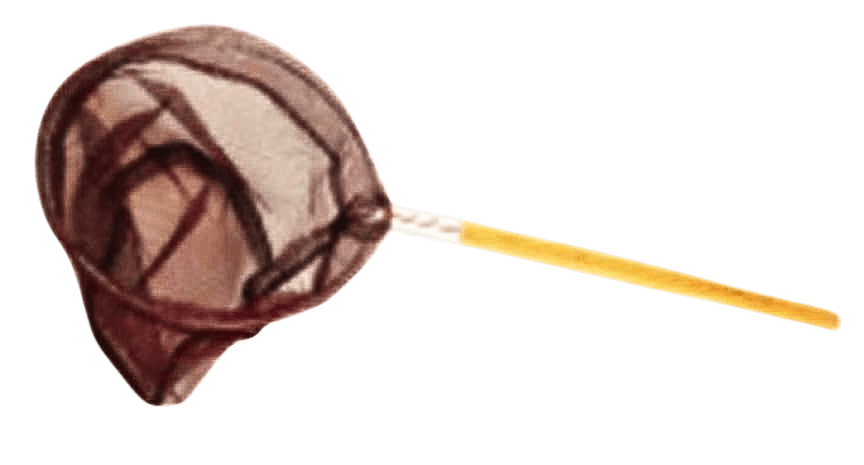 Danielson Net Scoop 14"x11" w/16" Wood Handle - Walmart.com