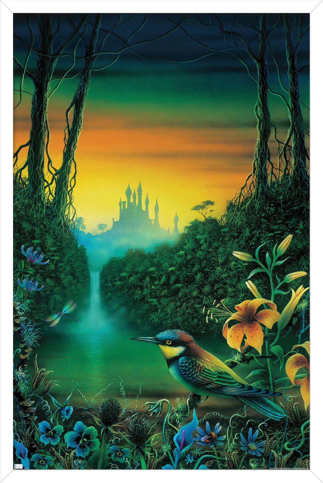 Danny Flynn - Bee Eater Wall Poster, 14.725" x 22.375" Framed - Walmart.com