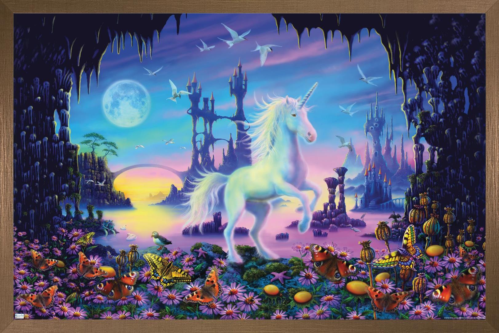 Danny Flynn - Unicorn Cavern Wall Poster, 22.375" x 34" Framed ...