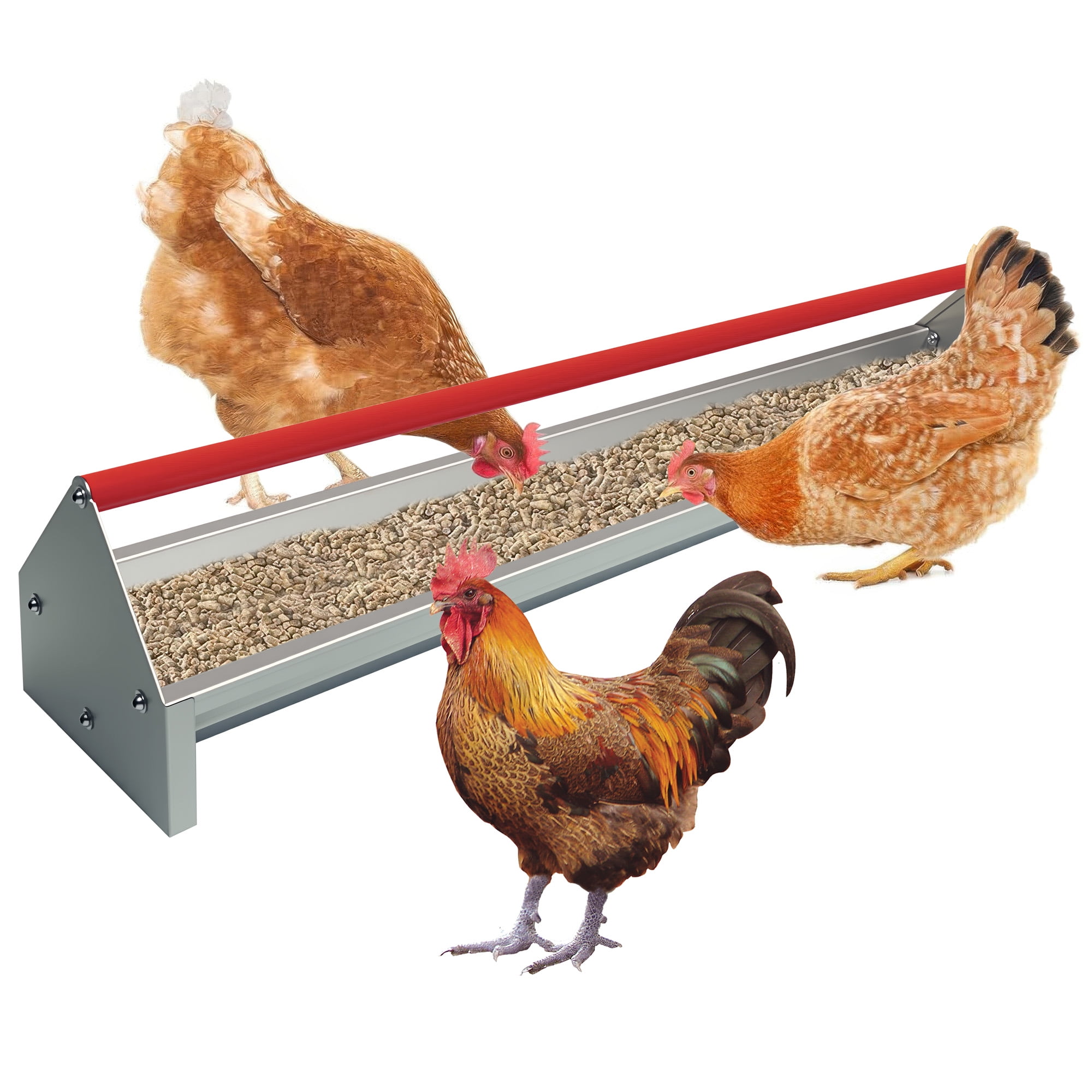 Danolapsi 45 Inch Chicken Feeding Trough , Heavy Duty Galvanized Steel ...