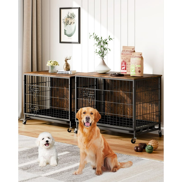 Dog crate for 2 small dogs store
