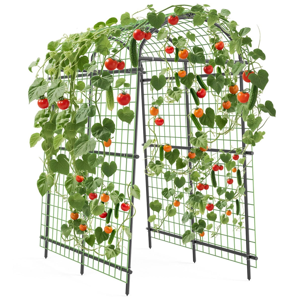 Danolapsi Garden Arch Trellis, 7.5Ft Tall Metal Garden Trellis with ...