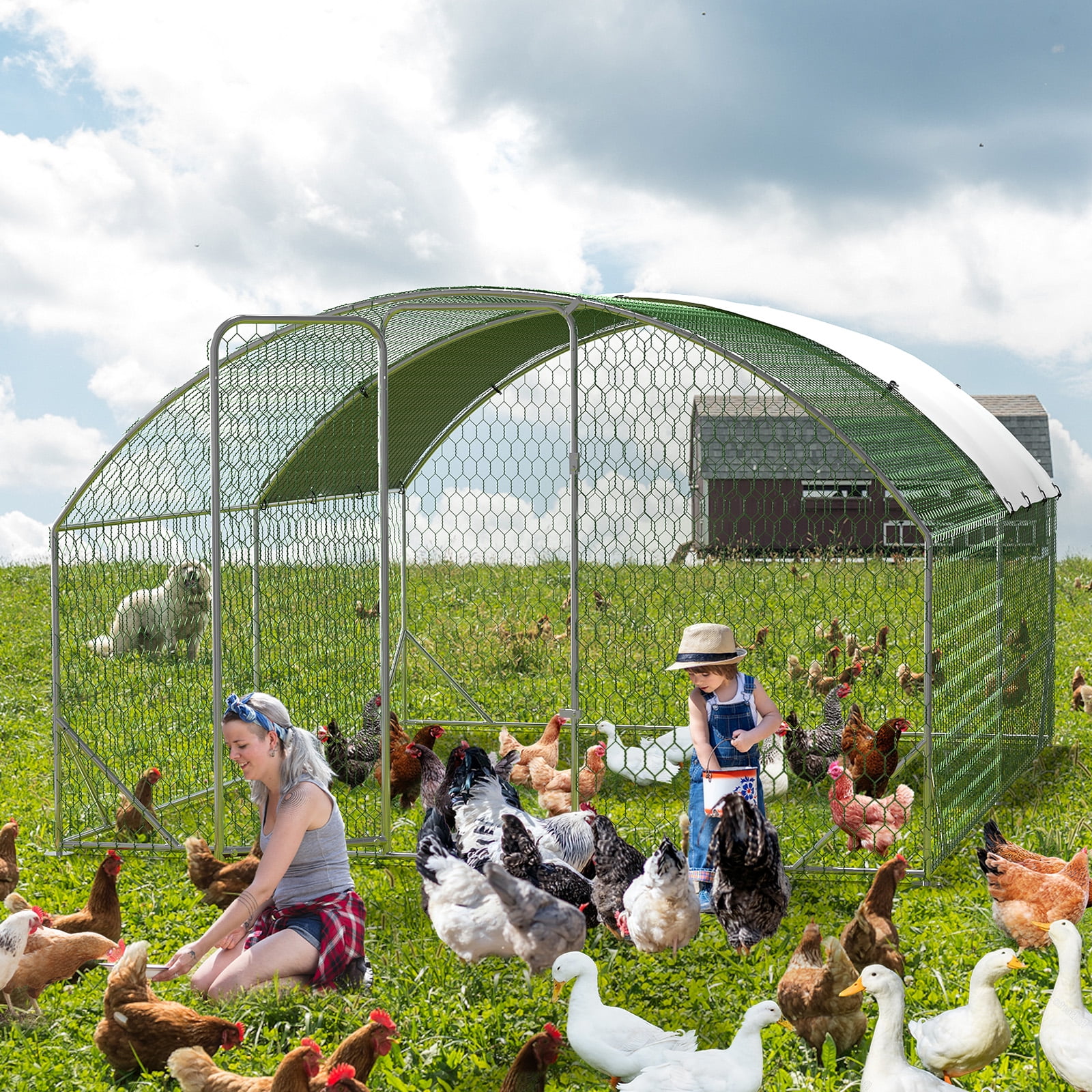 Danolapsi Large Chicken Run, Metal Chicken Coop with Waterproof and ...