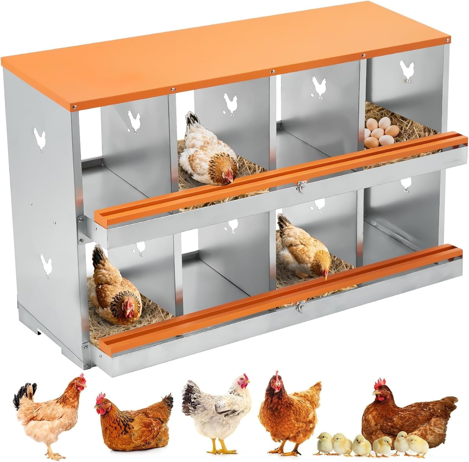 Danolapsi Metal Chicken Nesting Boxes,6 Compartment Metal Nesting Box ...