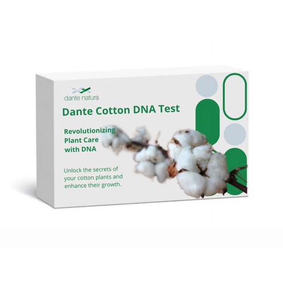 DNA Ancestry Tests in Home Health Tests - Walmart.com
