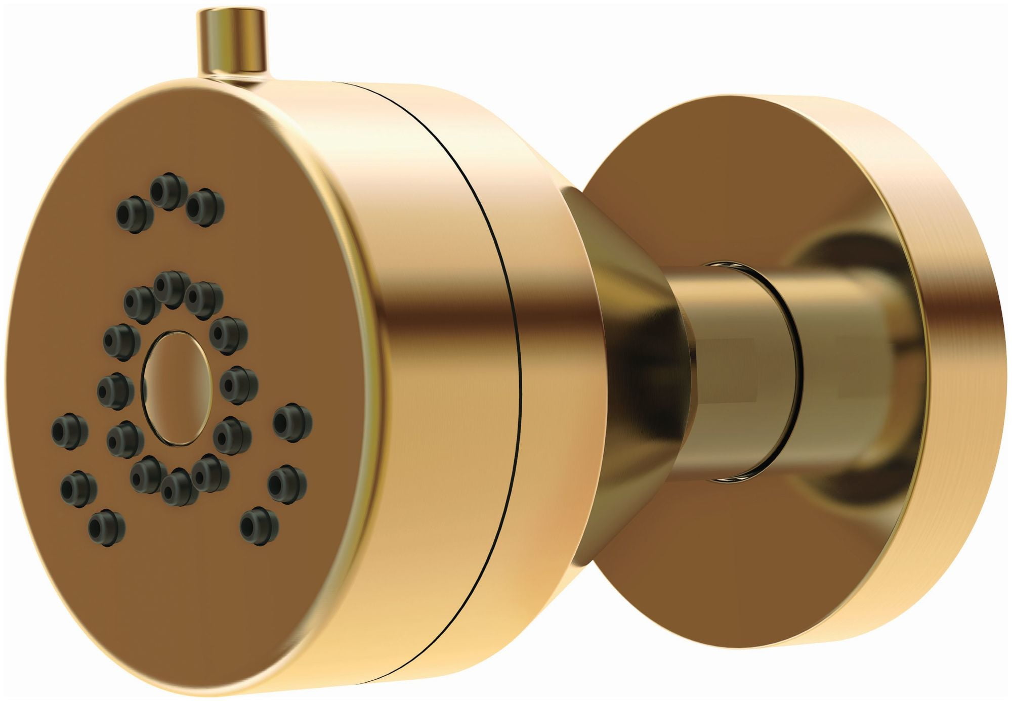 Danze Parma 2 Function Round Brass Body Spray, Bronze Finish, Bathroom ...