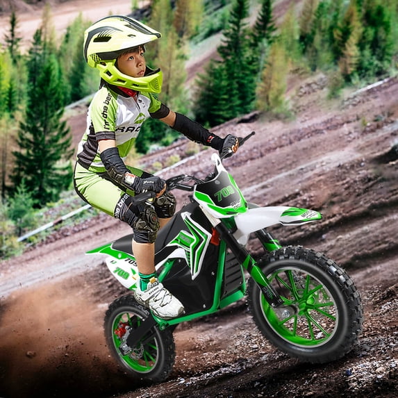Dapmiu Stable Circuit Electric Dirt Bike - 36V 350W Motor with Low Heat ...