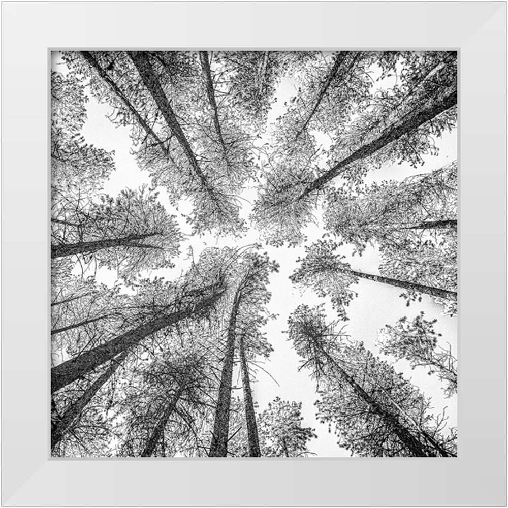 Darby, Rob 26x26 White Modern Wood Framed Museum Art Print Titled ...