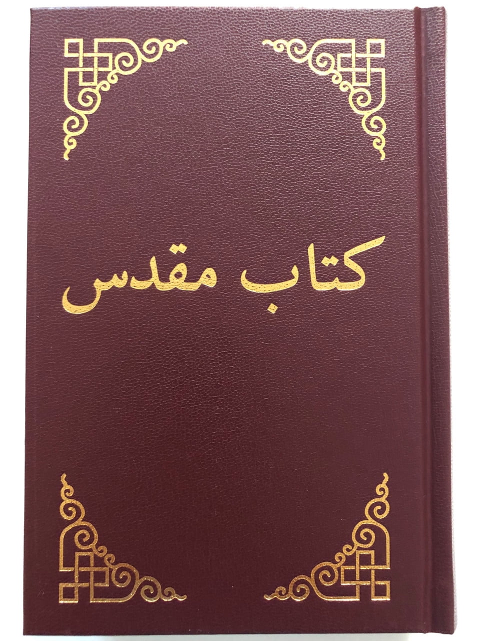 Dari language Holy Bible / Bible for the Nations 2008 / UBS TDV08 ...