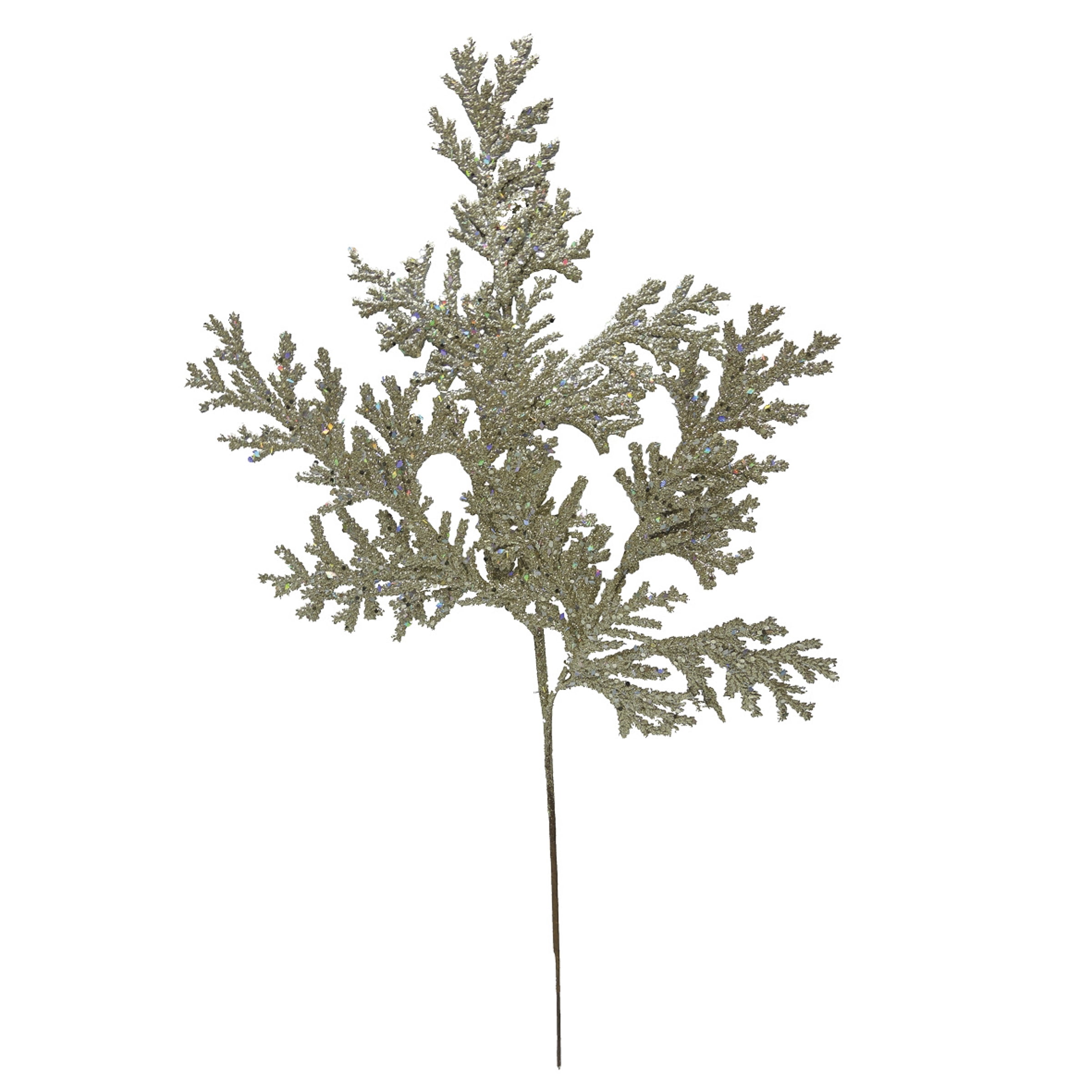 Darice Cedar Spray 10 X 22 Inches, 2 Assorted Colors - Walmart.com