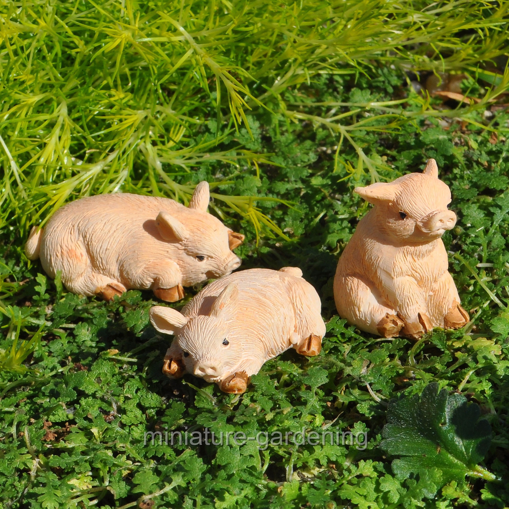 Darice Fairy Garden Animals: Resin Mini Pigs, 3 pack - Walmart.com