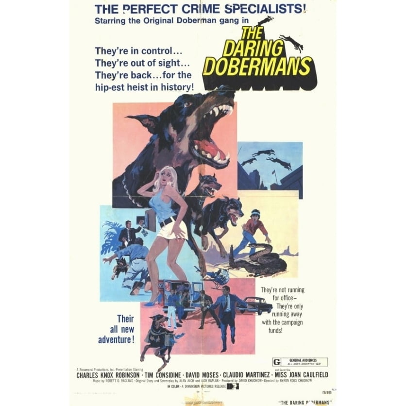 Daring Dobermans Movie Poster (11 x 17) - Walmart.com