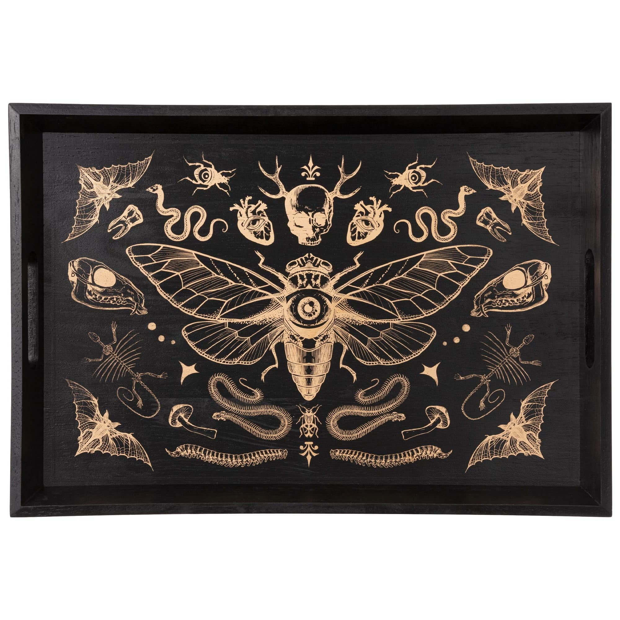 Dark Academia Tray 11 x 16 - Walmart.com