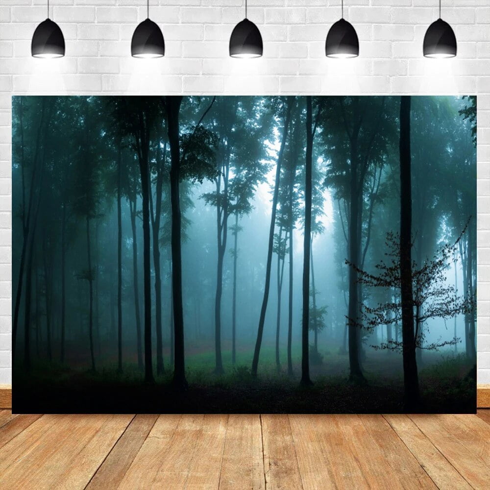 Dark Black Misty Forest Scene Photography Background Photozone ...