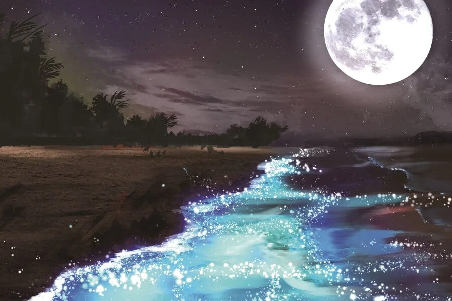 Dark Blue Night Scenery Fanstay Desert Photography Background Glitter ...