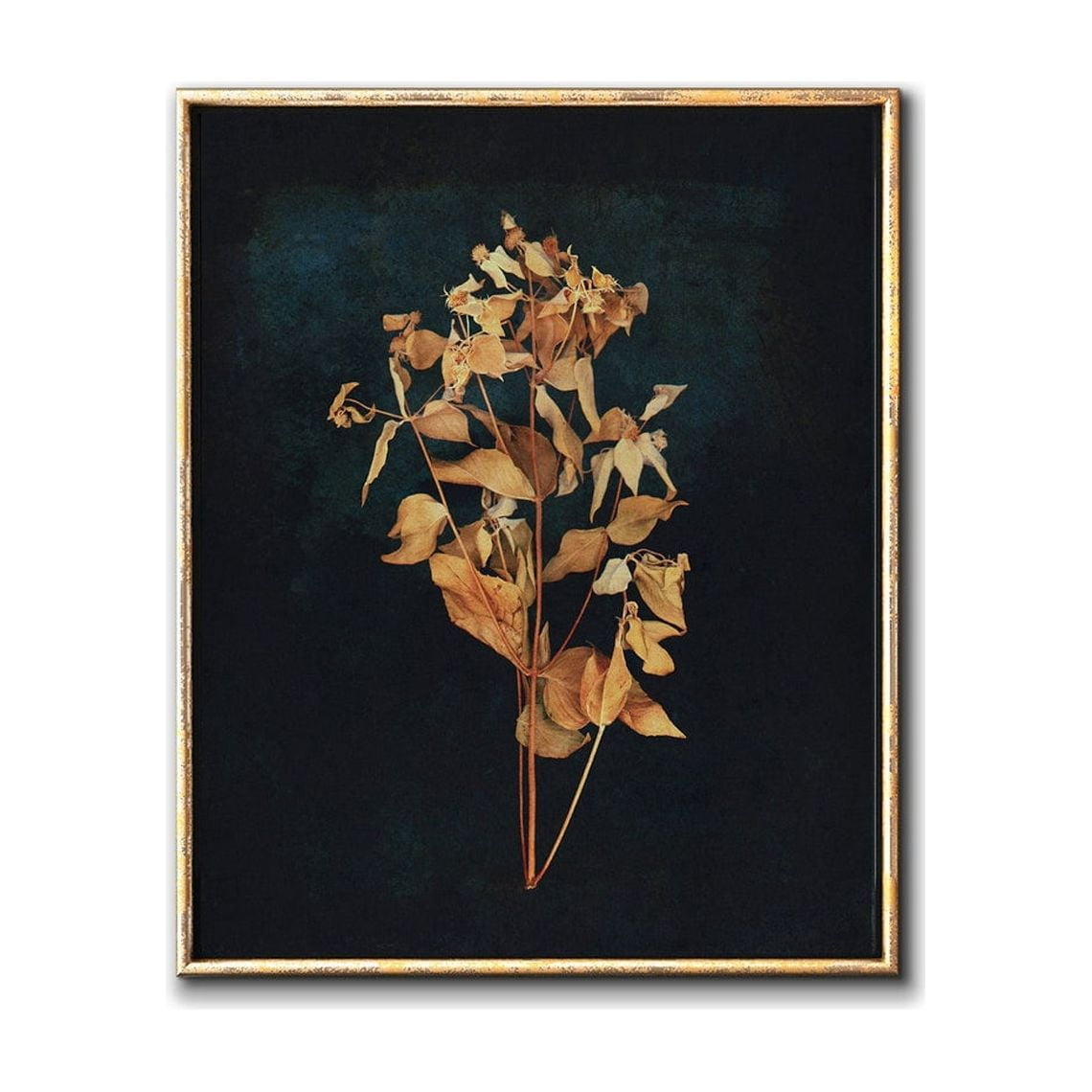 Dark Botanical Print, Moody Floral Wall Art, Unframed Paper Poster ...