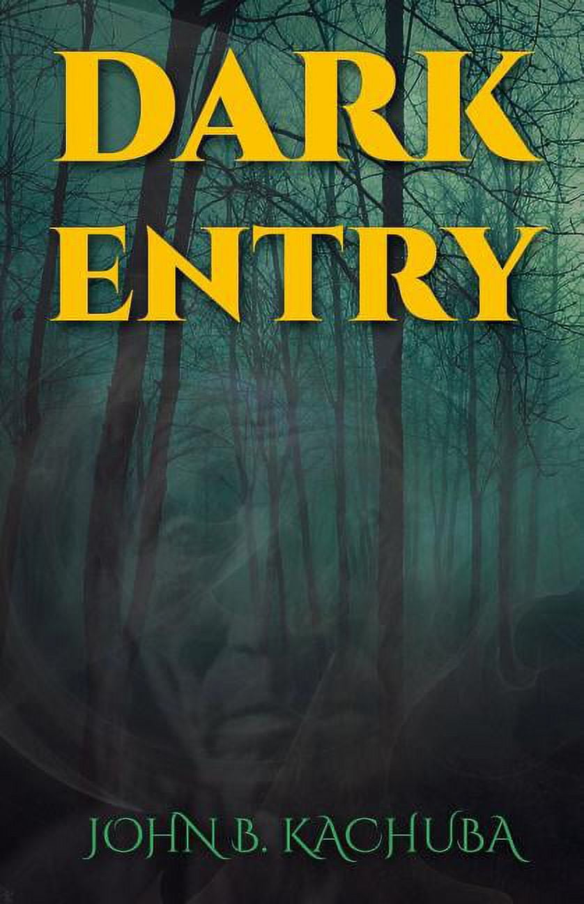 Dark Entry (Paperback) - Walmart.com