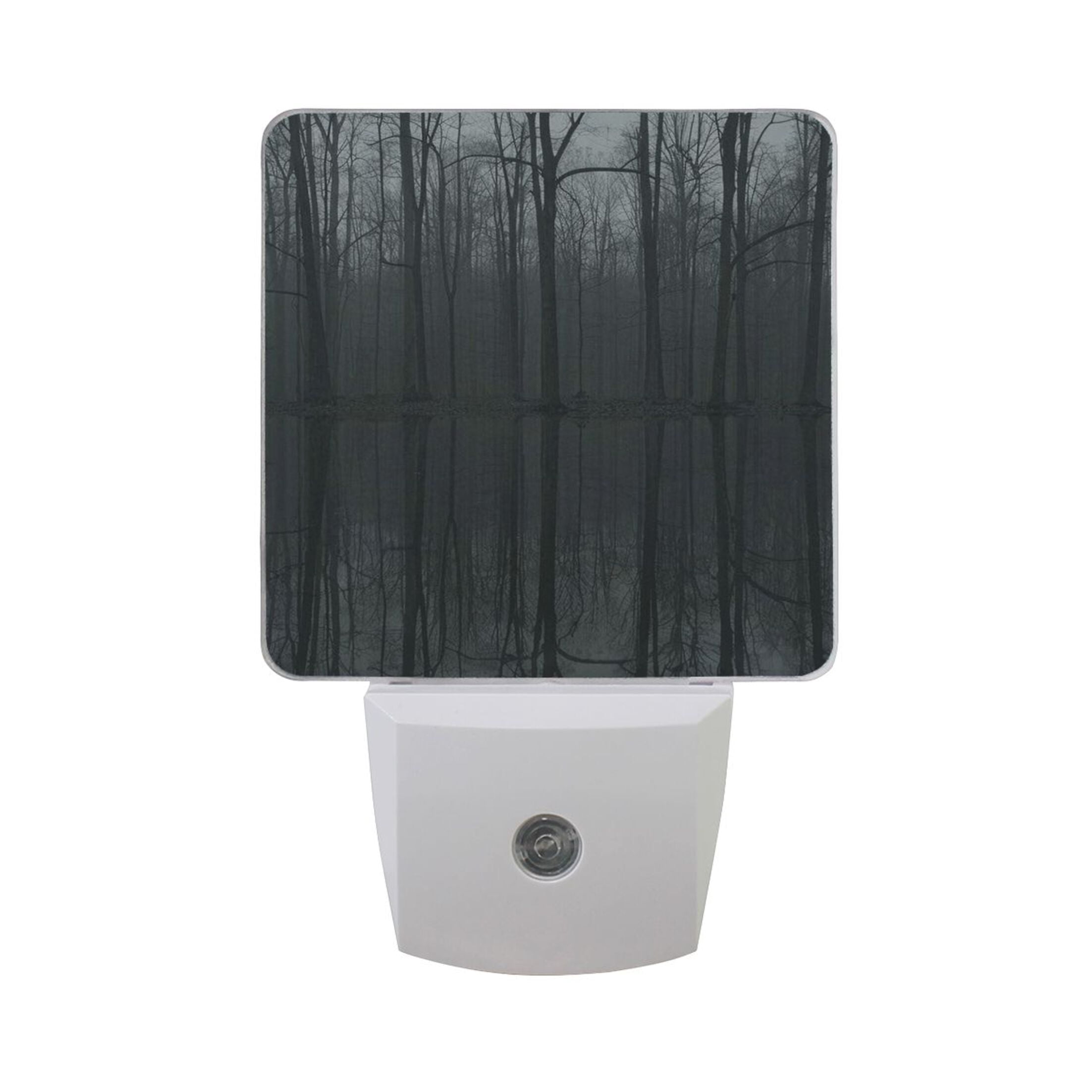 Dark Forest Reflections in Water Night Light 2 Pack LED Nightlight Plug ...