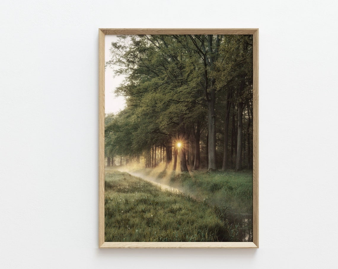 Dark Green Forest Print, Modern Landscape Photography, Dark Green ...