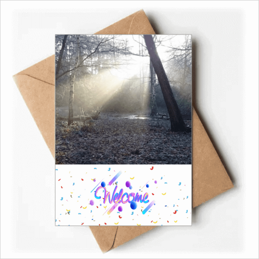 Dark Green Forestry Science Nature Scenery Welcome Back Greeting Cards ...