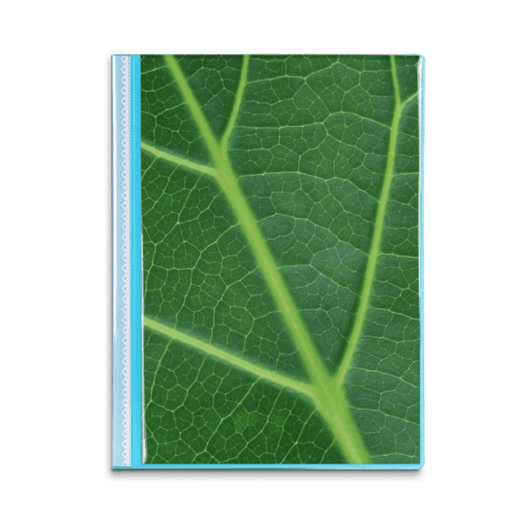 Dark Green Nature Illustration Pattern Book Sheet Protectors Portfolio ...