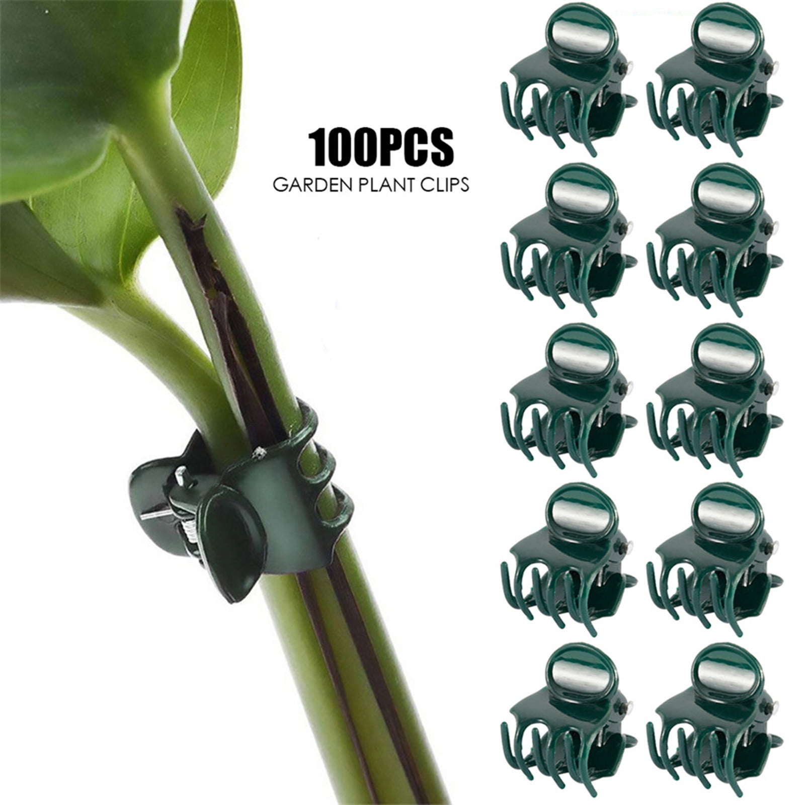Dark Green Orchid Clips 20/100PCS Tiny Plastic Plant Clips Orchid ...