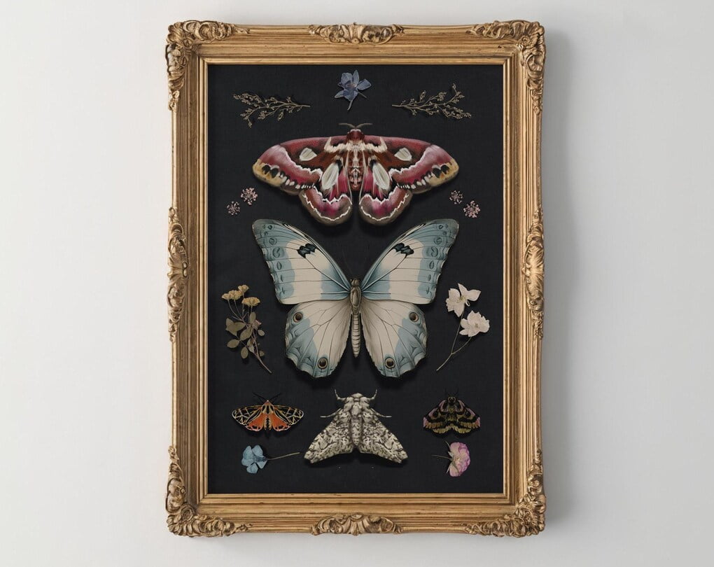 Dark Moth Aesthetic Rustic Moody Insect Art Botanical Moth Dark ...