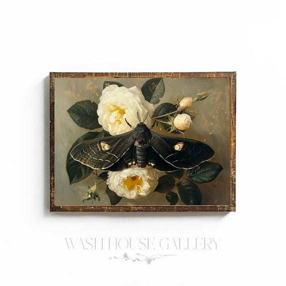 Dark Moth Dark Cottagecore Wall Art Dark Academia Decor Moth Black Moth ...
