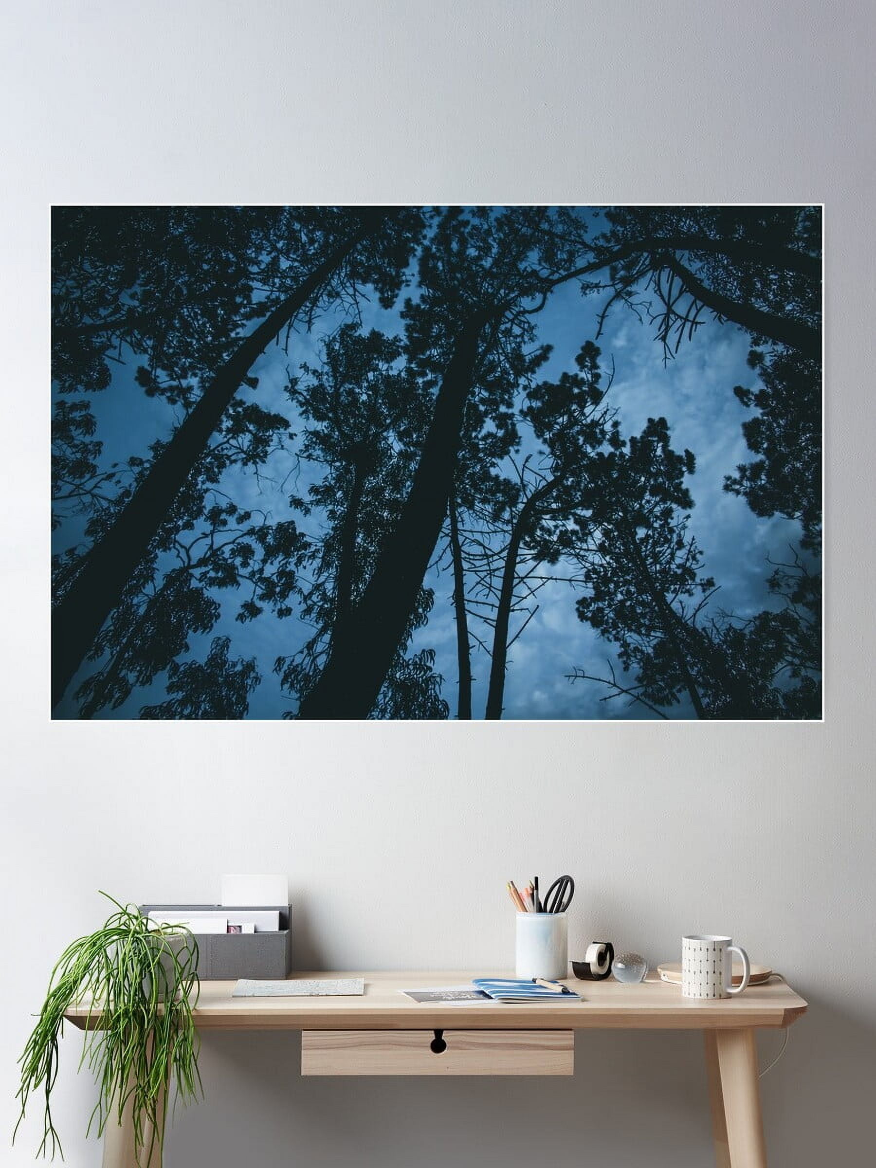 Dark Mysterious Forest Poster Wall Art, Modern Wall Decor For Living ...